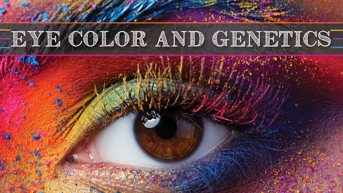 What Determines Our Eye Color? | Melanin Pigmentation and Genetics